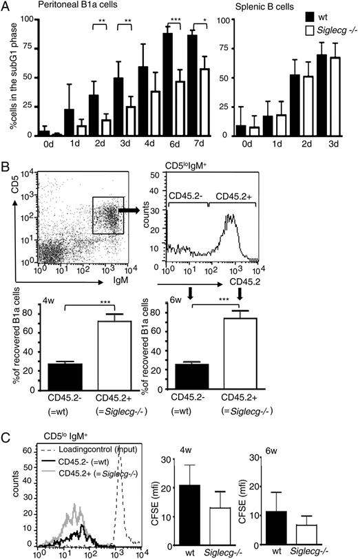 Siglec-G Regulates B1 Cell Survival and Selection | The Journal of ...
