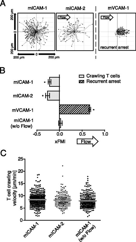 Differential Roles for Endothelial ICAM-1, ICAM-2, and VCAM-1 in Shear ...