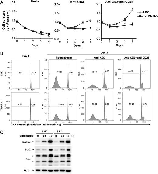 TNF Receptor-Associated Factor 3 Is Required for T Cell-Mediated ...
