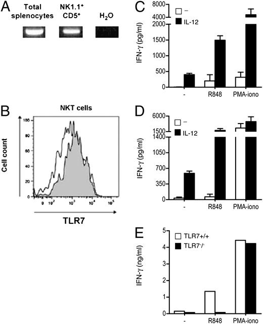 The TLR7 Agonist R848 Alleviates Allergic Inflammation by Targeting ...