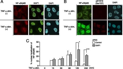 Krüppel Associated Box Associated Protein 1 Negatively Regulates Tnf α
