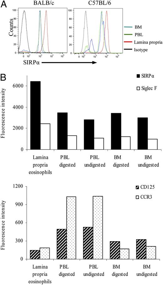 SIRPα/CD172a Regulates Eosinophil Homeostasis | The Journal of ...