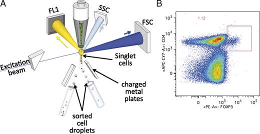 Translational Applications of Flow Cytometry in Clinical Practice | The ...