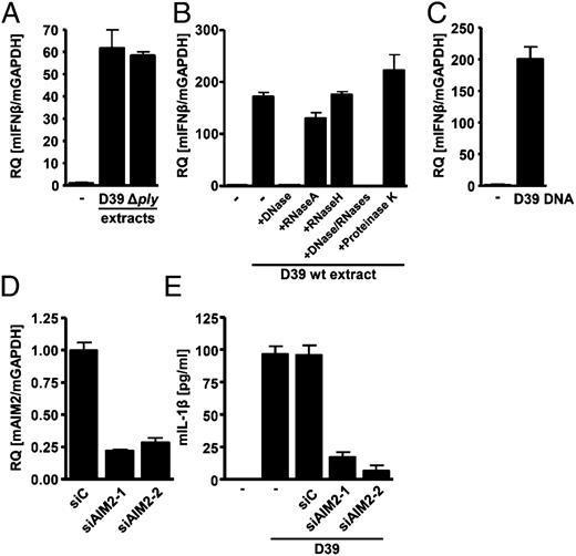 Streptococcus Pneumoniae Stimulates A Sting And Ifn Regulatory Factor