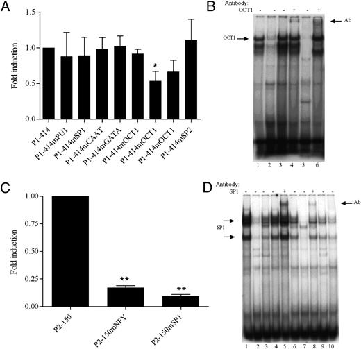 Characterization of the Promoter and the Transcriptional Regulation of ...
