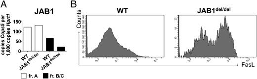 JAB1 Is Essential for B Cell Development and Germinal Center Formation ...