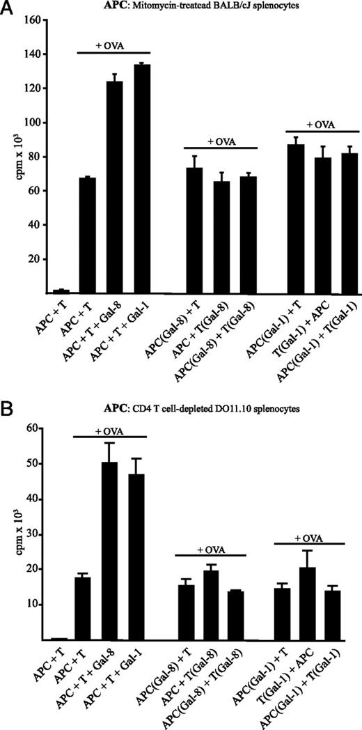 Redundant And Antagonistic Functions Of Galectin 1 3 And 8 In The