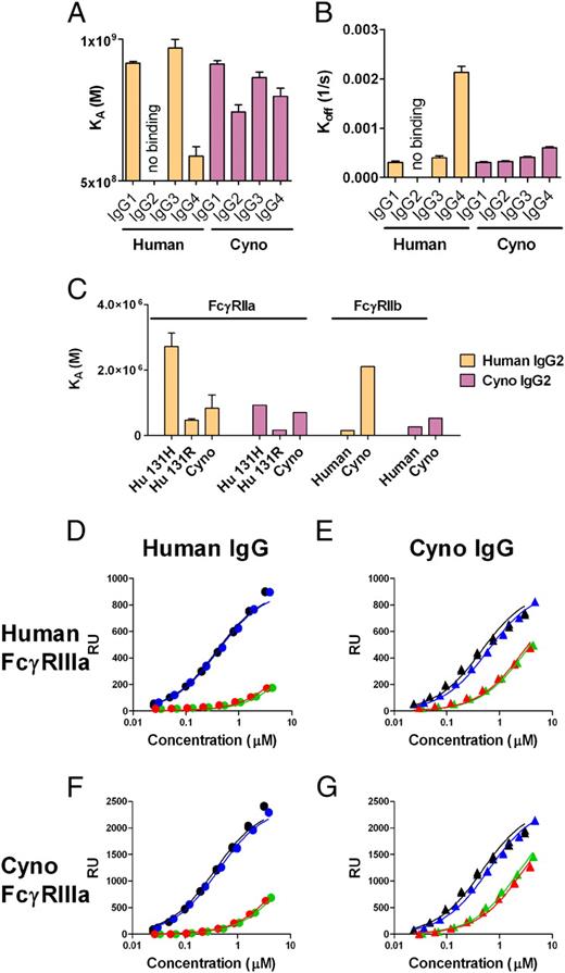 Different Adaptations Of Igg Effector Function In Human And Nonhuman