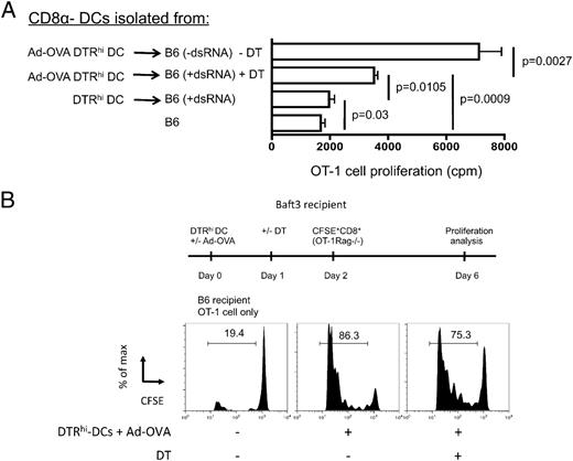Acquisition Of Mhc Peptide Complexes By Dendritic Cells Contributes To