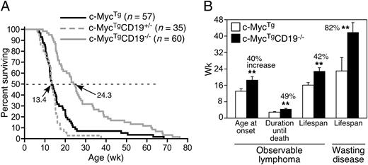 A c-Myc and Surface CD19 Signaling Amplification Loop Promotes B Cell ...