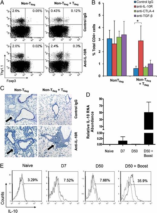 The Development and Function of Memory Regulatory T Cells after Acute ...