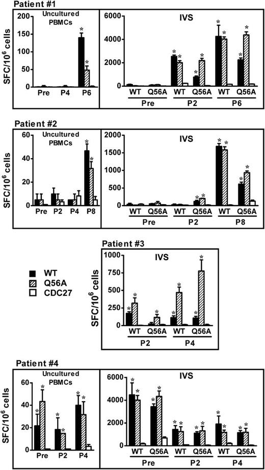 Structure Based Design Of Altered Mhc Class Ii Restricted Peptide