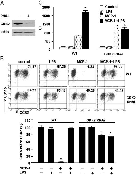 TLR4 Signaling Augments Monocyte Chemotaxis by Regulating G Protein ...