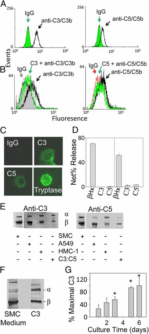 Human Skin Mast Cells Express Complement Factors C3 and C5 | The ...