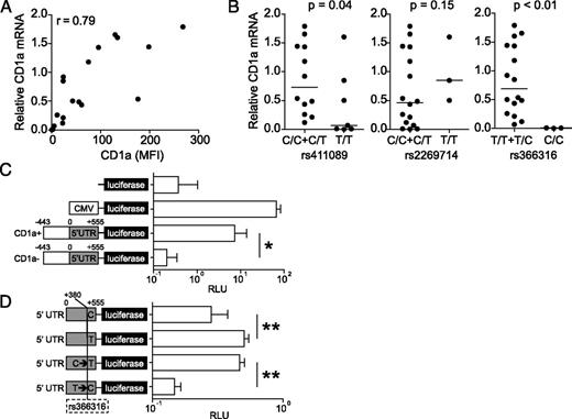 Human CD1a Deficiency Is Common and Genetically Regulated | The Journal ...