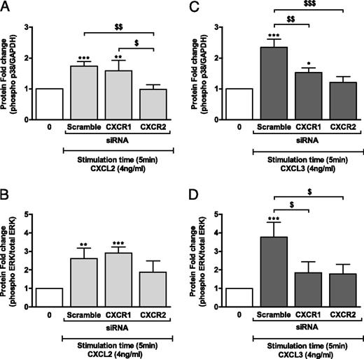 Differential Roles of CXCL2 and CXCL3 and Their Receptors in Regulating ...