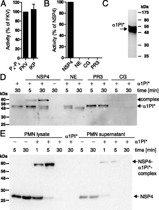 NSP4 Is Stored in Azurophil Granules and Released by Activated ...