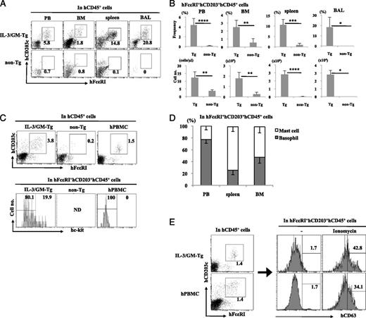 Establishment of a Human Allergy Model Using Human IL-3/GM-CSF ...