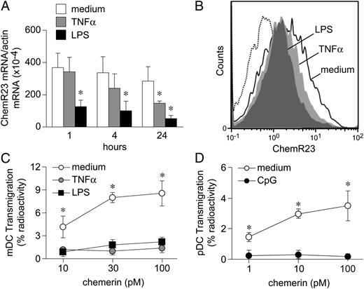 Endothelial Cell–Derived Chemerin Promotes Dendritic Cell ...