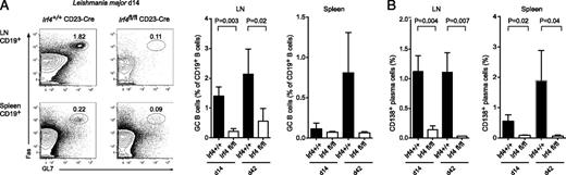 Transcription Factor IRF4 Regulates Germinal Center Cell Formation ...