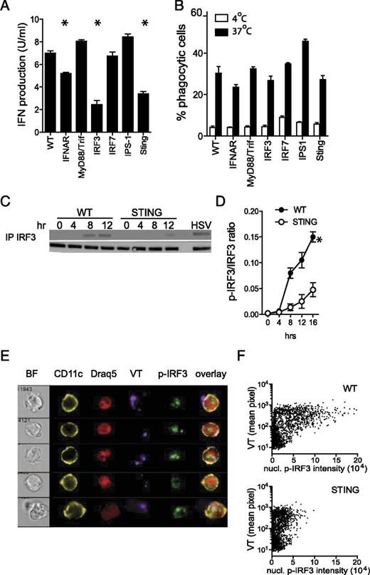 STING-Mediated DNA Sensing Promotes Antitumor and Autoimmune Responses ...