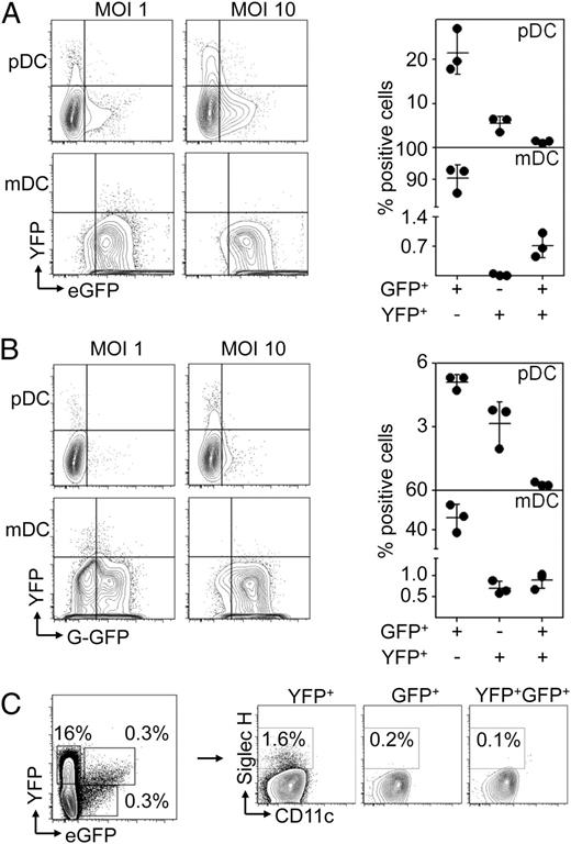 Independent of Plasmacytoid Dendritic Cell (pDC) infection, pDC Triggered by Virus-Infected ...