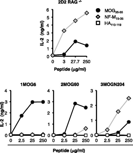 Bispecificity For Myelin And Neuronal Self Antigens Is A Common Feature