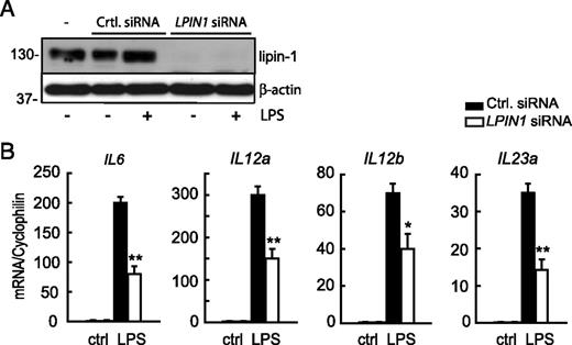 Lipin-1 Integrates Lipid Synthesis with Proinflammatory Responses ...