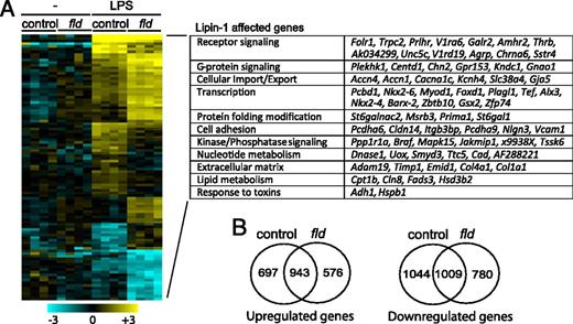 Lipin-1 Integrates Lipid Synthesis with Proinflammatory Responses ...