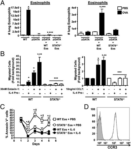 Cutting Edge: STAT6 Signaling in Eosinophils Is Necessary for ...