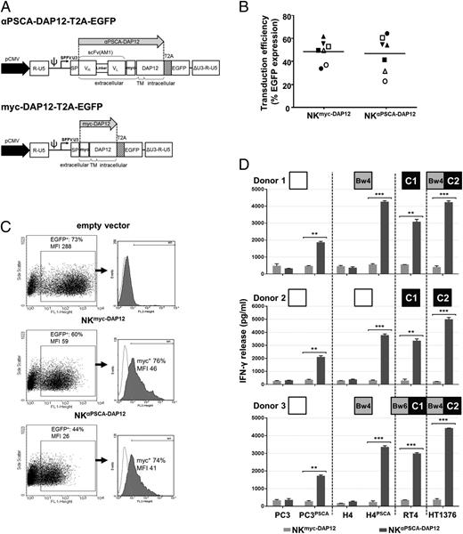 DAP12-Based Activating Chimeric Antigen Receptor for NK Cell Tumor ...