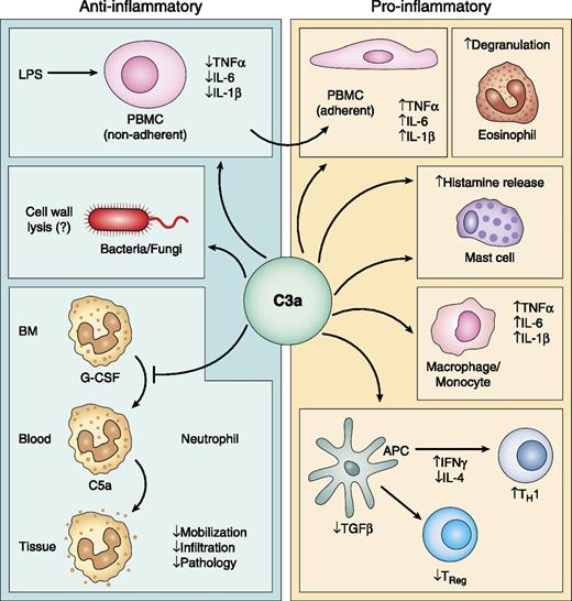 Is the Complement Activation Product C3a a Proinflammatory Molecule? Re ...