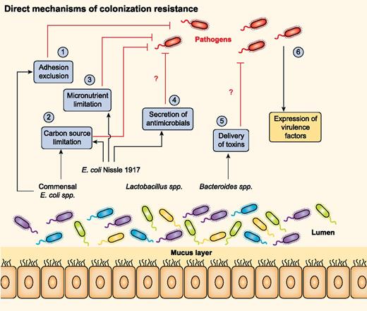 No Vacancy: How Beneficial Microbes Cooperate with Immunity To Provide ...