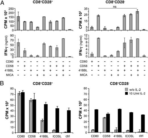 CD58/CD2 Is the Primary Costimulatory Pathway in Human CD28−CD8+ T ...