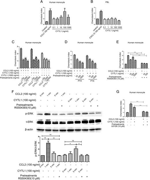 Cytokine-like 1 Chemoattracts Monocytes/Macrophages via CCR2 | The ...