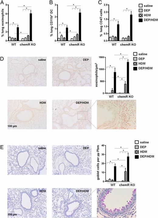 Pro- and Anti-Inflammatory Role of ChemR23 Signaling in Pollutant ...