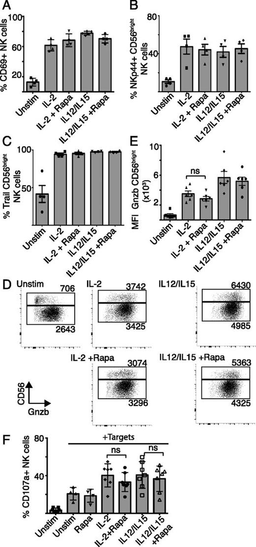 Metabolic Reprogramming Supports IFN-γ Production by CD56bright NK ...