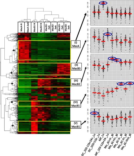 Expression Profiling of Macrophages Reveals Multiple Populations with ...