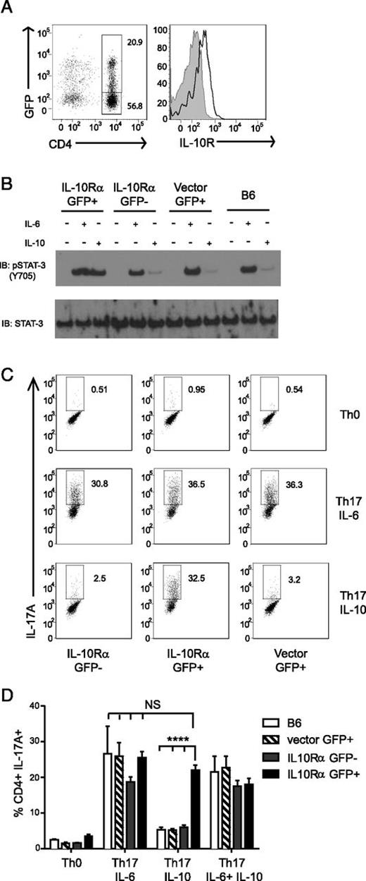 Differential T Cell Cytokine Receptivity and Not Signal Quality ...