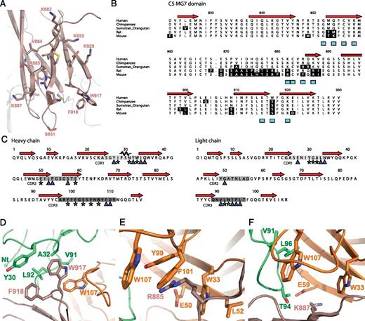 Structural Basis for Eculizumab-Mediated Inhibition of the Complement ...