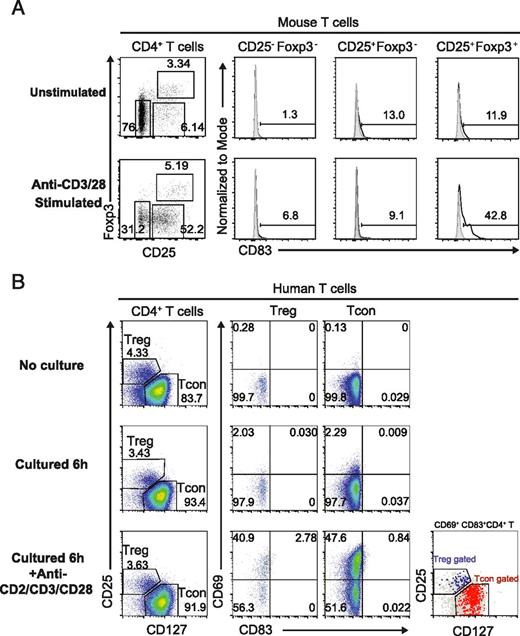 The Analysis of CD83 Expression on Human Immune Cells Identifies a ...
