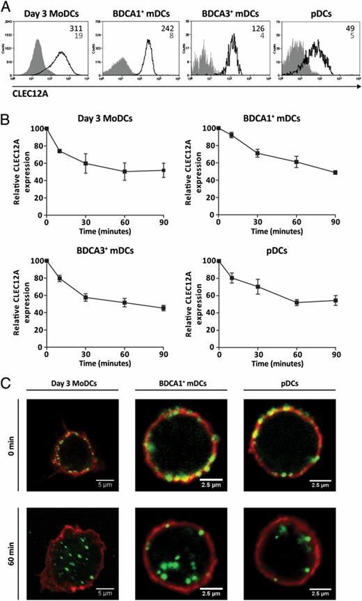 CLEC12A-Mediated Antigen Uptake and Cross-Presentation by Human ...