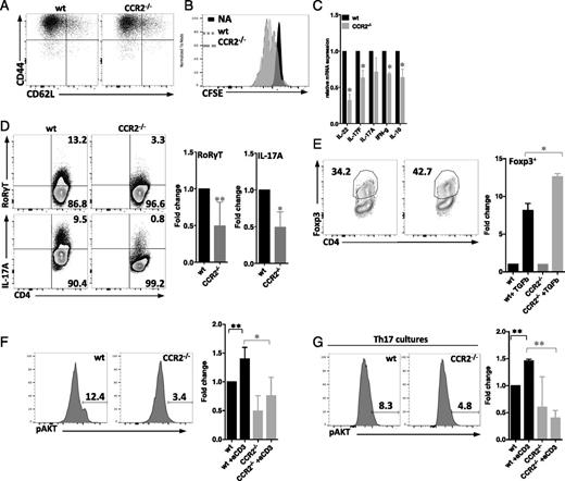 CCR2 Regulates the Immune Response by Modulating the Interconversion ...