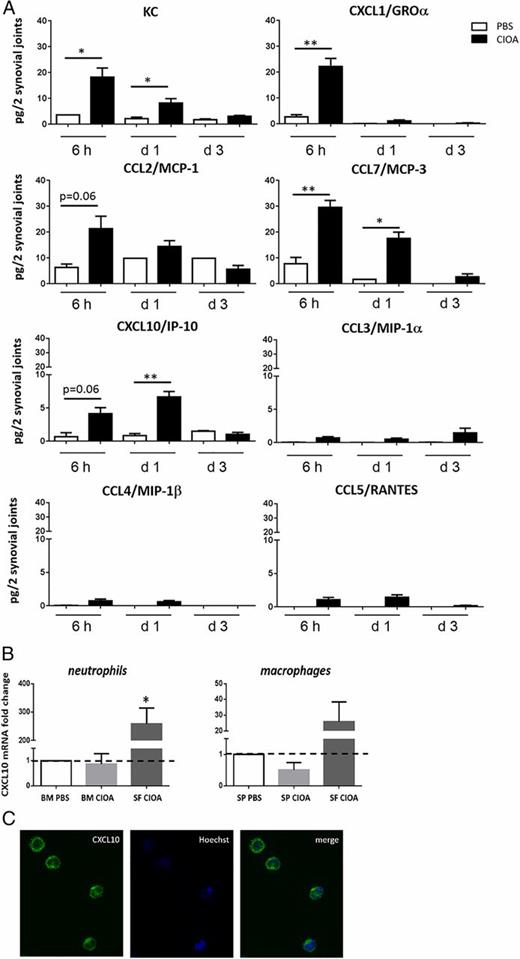 CXCR3/CXCL10 Axis Regulates Neutrophil–NK Cell Cross-Talk Determining ...