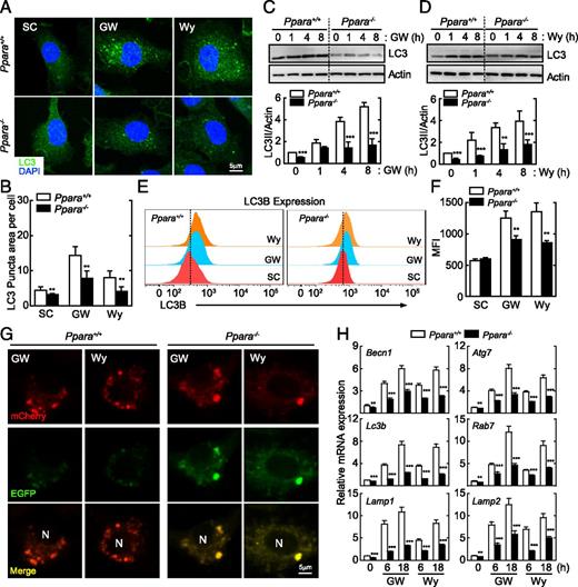 PPAR-α Activation Mediates Innate Host Defense through Induction of ...