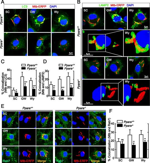 PPAR-α Activation Mediates Innate Host Defense through Induction of ...