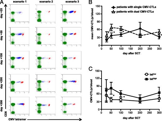 Characterization of High-Avidity Cytomegalovirus-Specific T Cells with ...