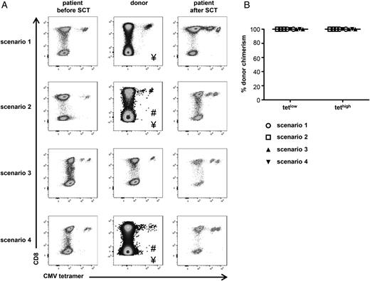Characterization of High-Avidity Cytomegalovirus-Specific T Cells with ...