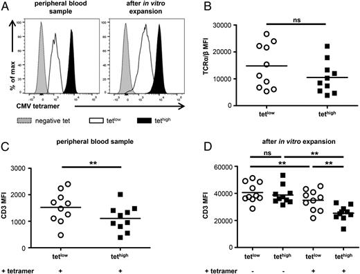 Characterization of High-Avidity Cytomegalovirus-Specific T Cells with ...