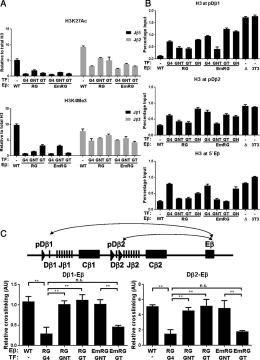 Activation Of Mouse Tcrb Uncoupling Runx1 Function From Its Cooperative Binding With Ets1 The